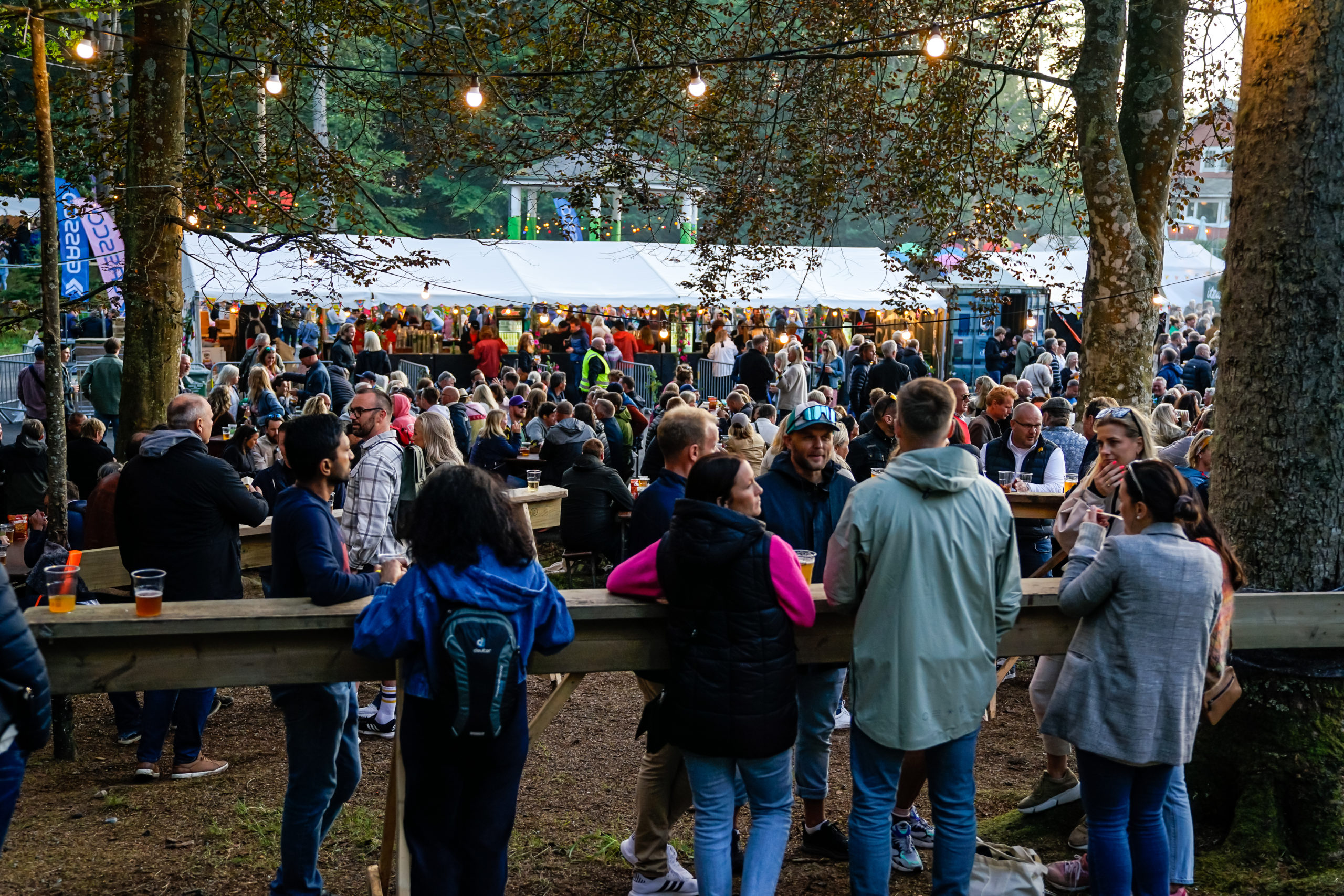 Info - Vangenfestivalen